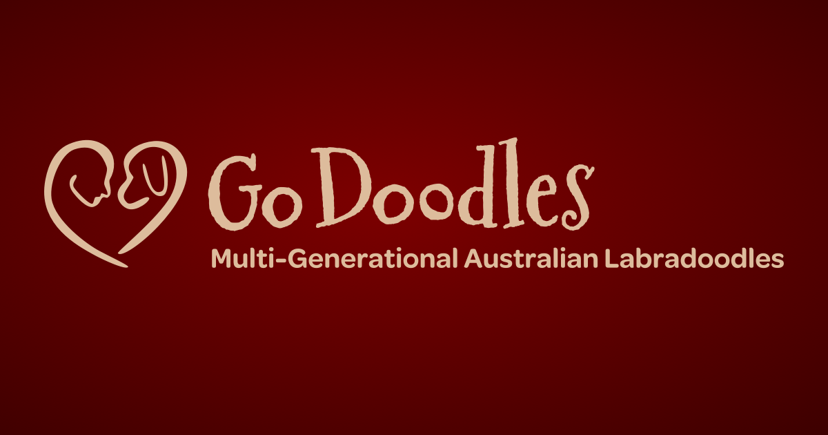 Basic Training - Go Doodles